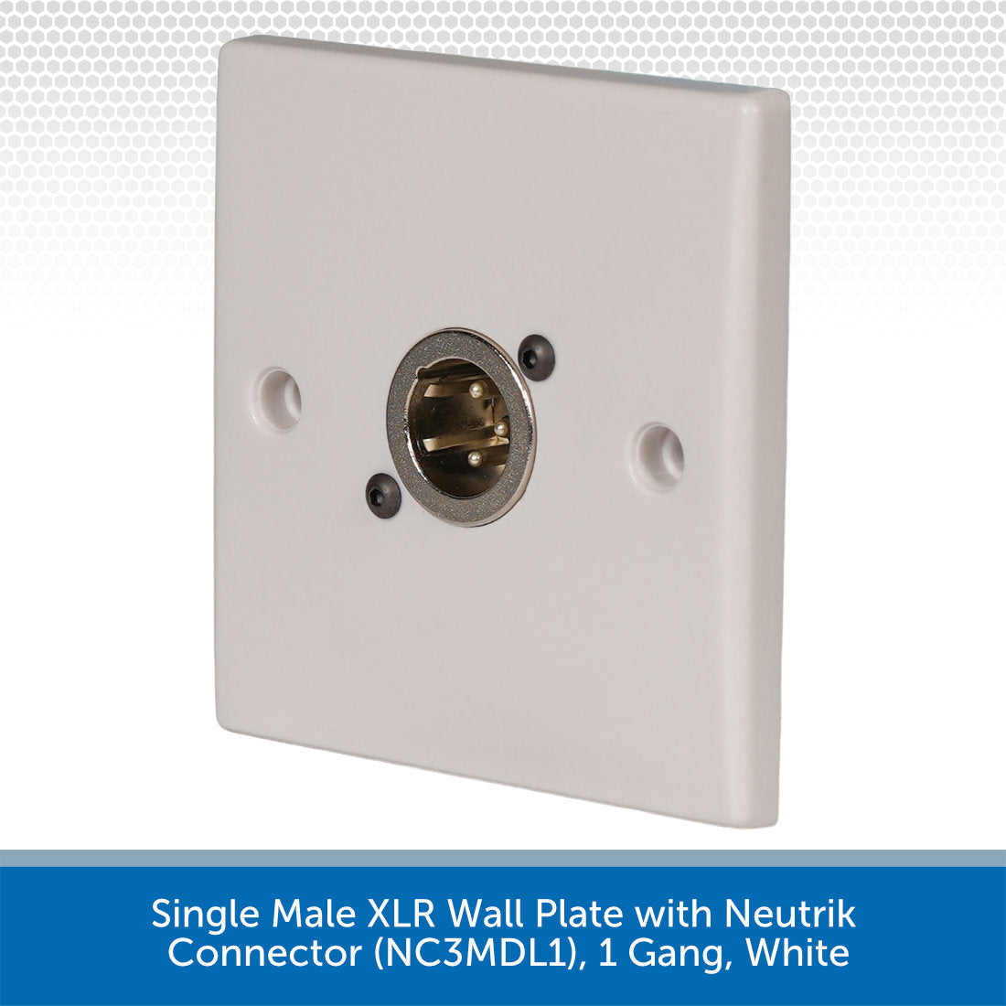 Single Male XLR Wall Plate with Neutrik Connector, White | Audio Volt