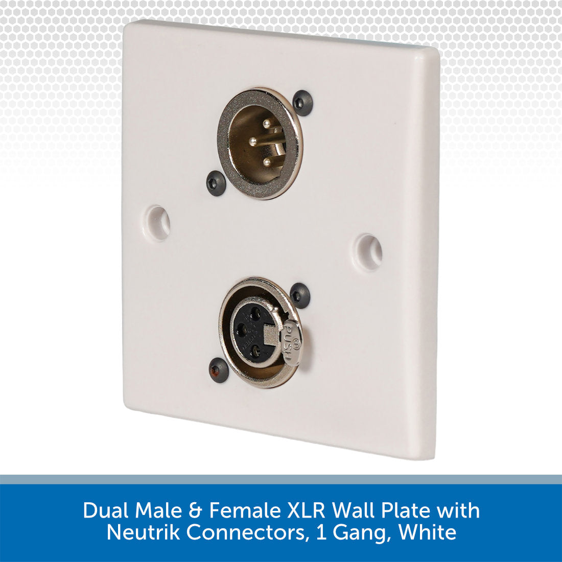 Dual Female XLR Wall Plate with Neutrik Connector, White | Audio Volt